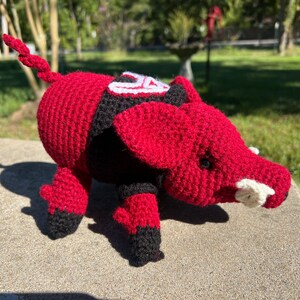 Arkansas Razorback Handmade - Etsy