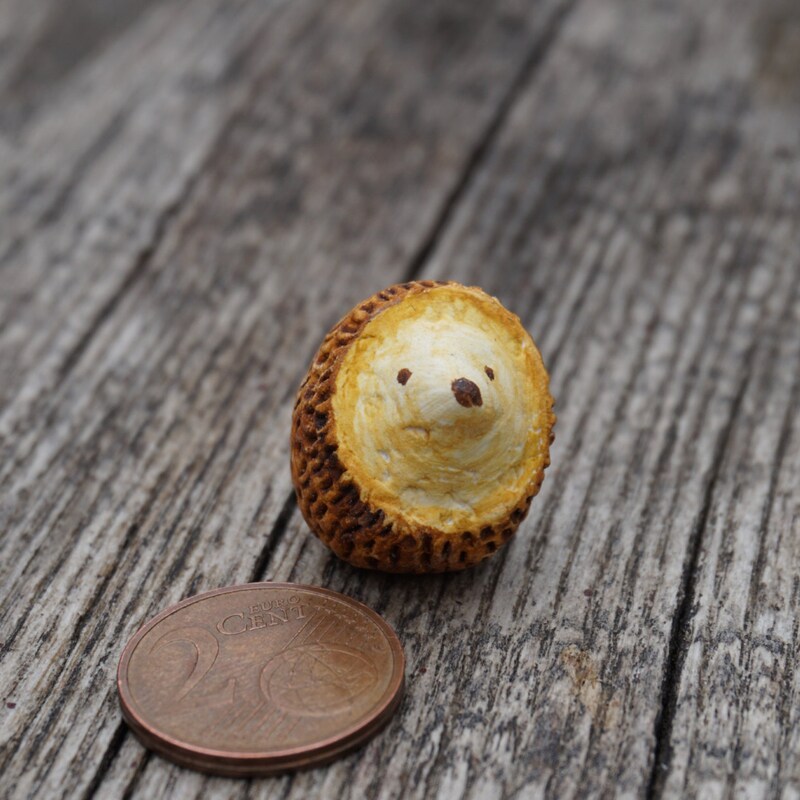 Miniature Hedgehogs - Etsy
