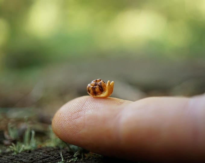 MICRO Mini Garden Snail, 1mm Shell, Handmade 1:12 Scale Miniature Brown ...