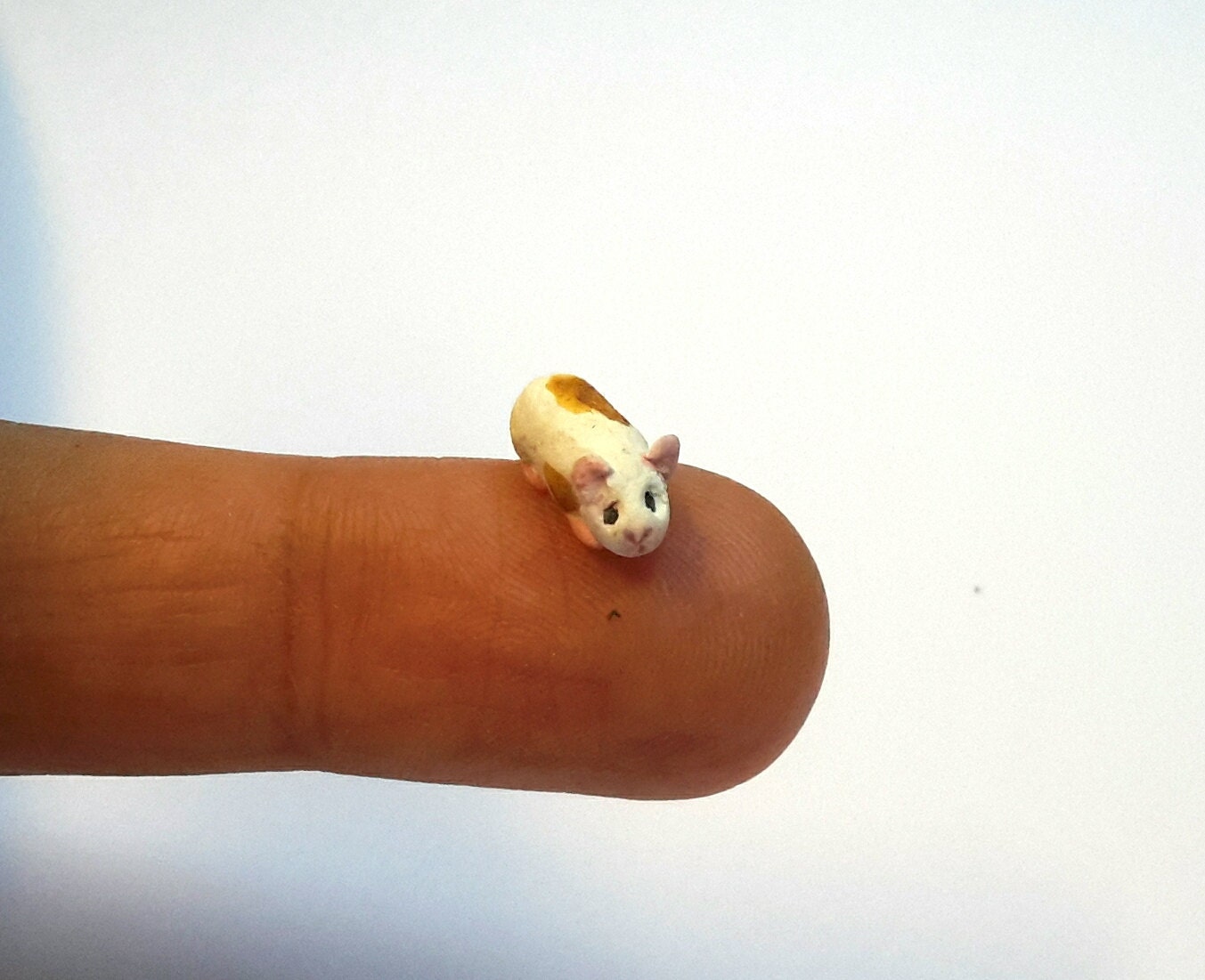 Smallest Hamster In The World