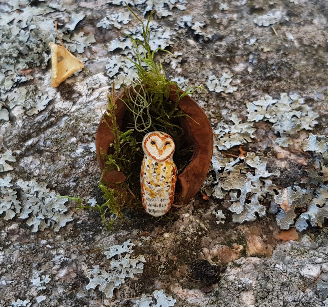 Miniature Barn Owl in a Nutshell, Miniature Barn Owl, Miniature Owl - Etsy