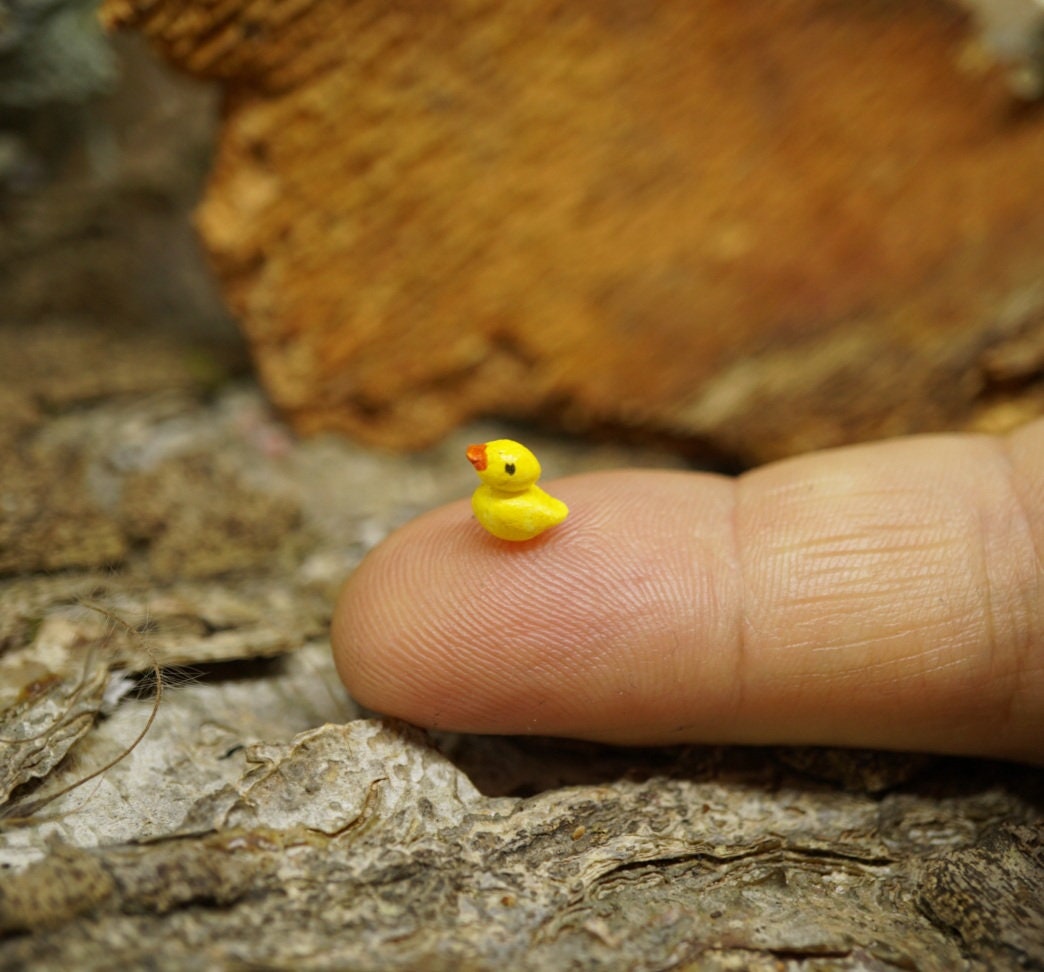 The Smallest Duck In The World