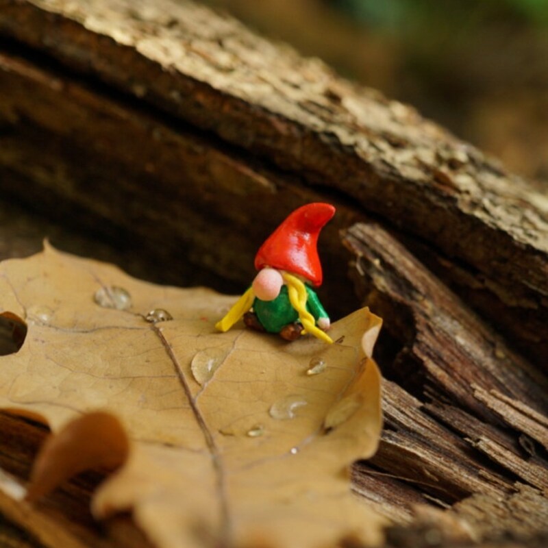 Miniature Gnomes - Etsy