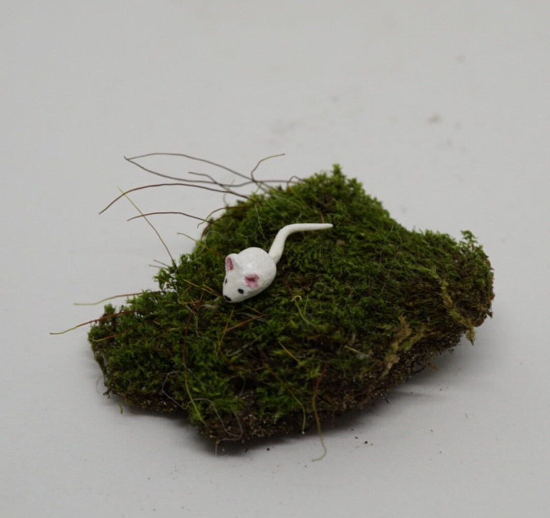 Miniature White Mouse, Tiny Mouse, Miniature Mouse, Clay Mouse, Doll ...