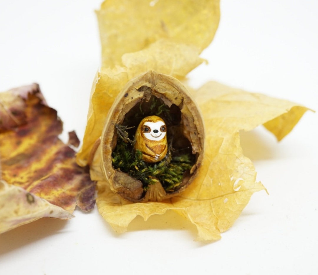 Miniature Sloth in a Nut Shell, Miniature Sloth, Clay Sloth, Handmade ...