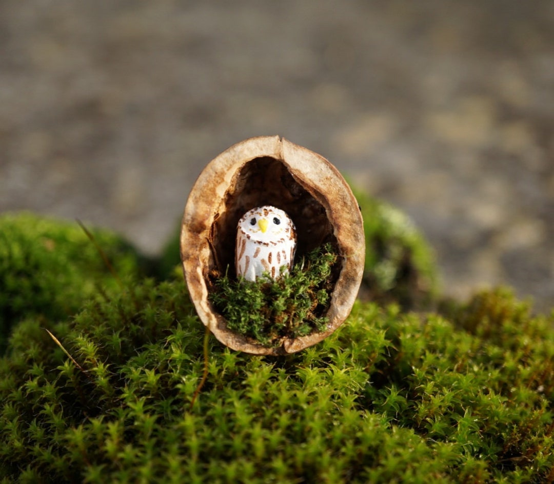 Tiny Handmade Owl, Miniature Owl, Clay Owl, Owl in Nutshell - Etsy