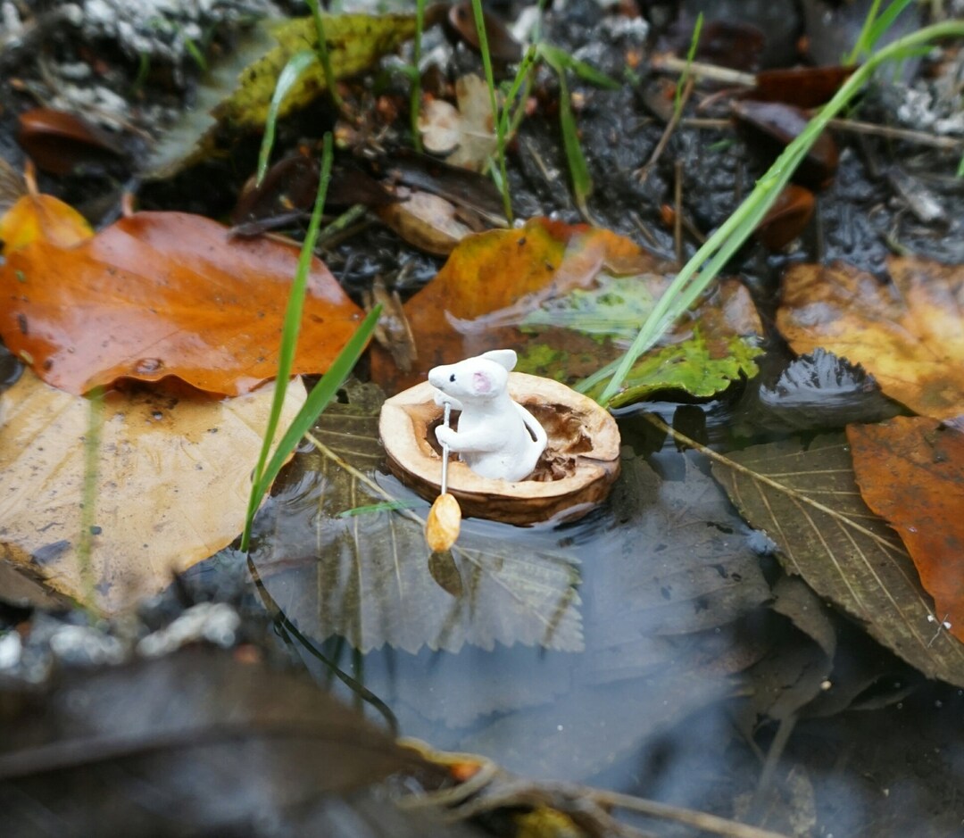 Miniature Mouse Paddling a Boat, Mjniature Mouse, Paddling Mouse, Mouse ...