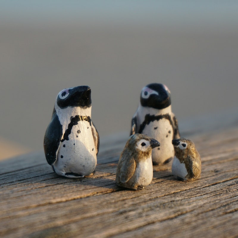 Miniature Penguin - Etsy