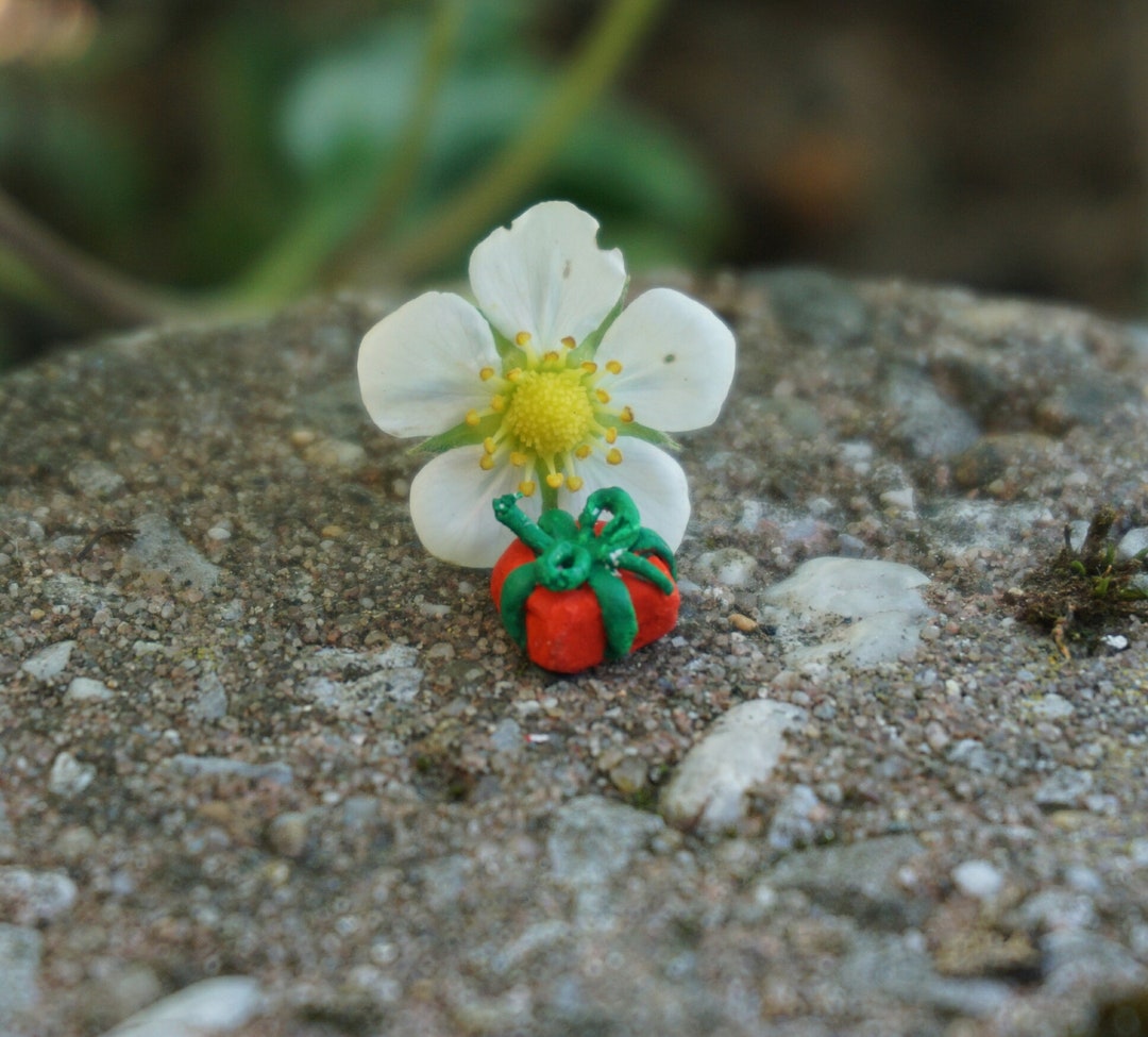 Micro Clay Gift Box, Miniature Gift Box, Tiny Little Miniatures - Etsy