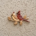 CARDİNAL BİRD, Intarsia Wooden Art, Wild Life, Home Decor, Wall Decor ...