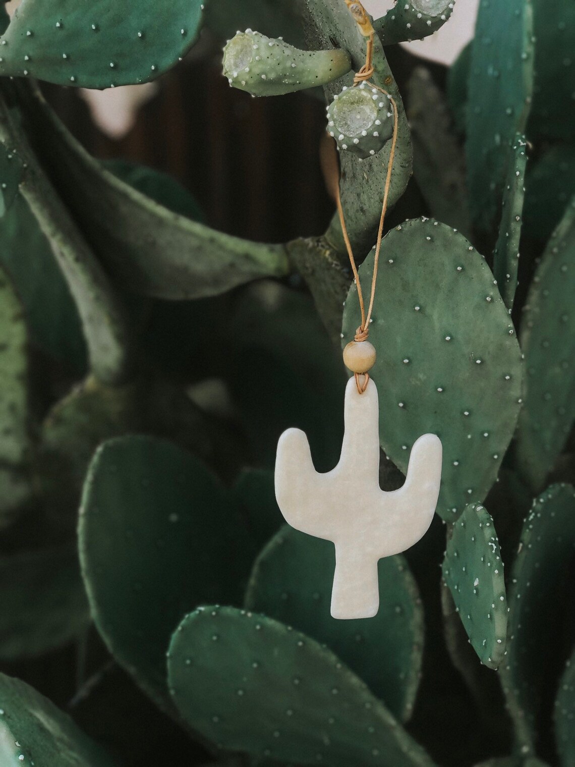 Clay Cactus Car Diffuser, Essential Oil Air Freshener, Boho Car Decor ...