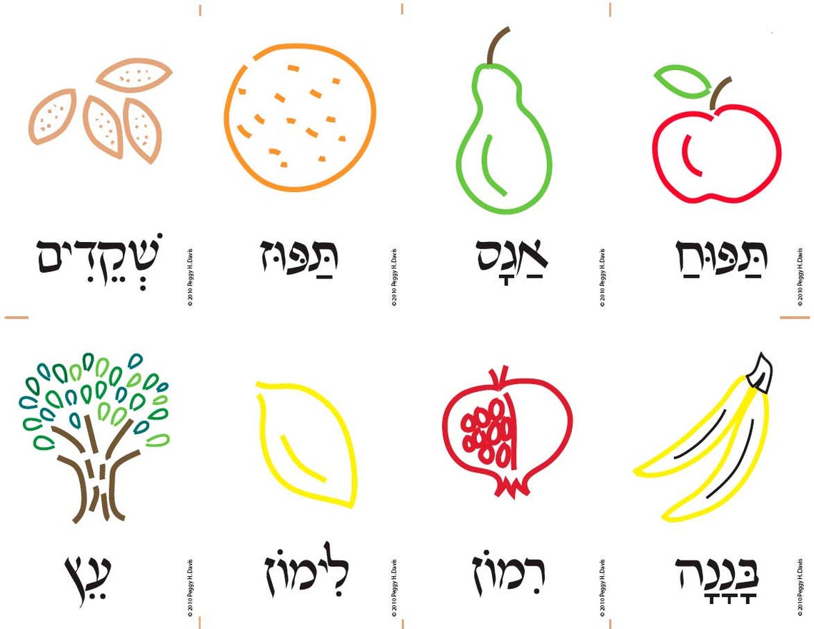 Tarjetas didácticas de frutas hebreas: Tu b'shvat - Etsy España