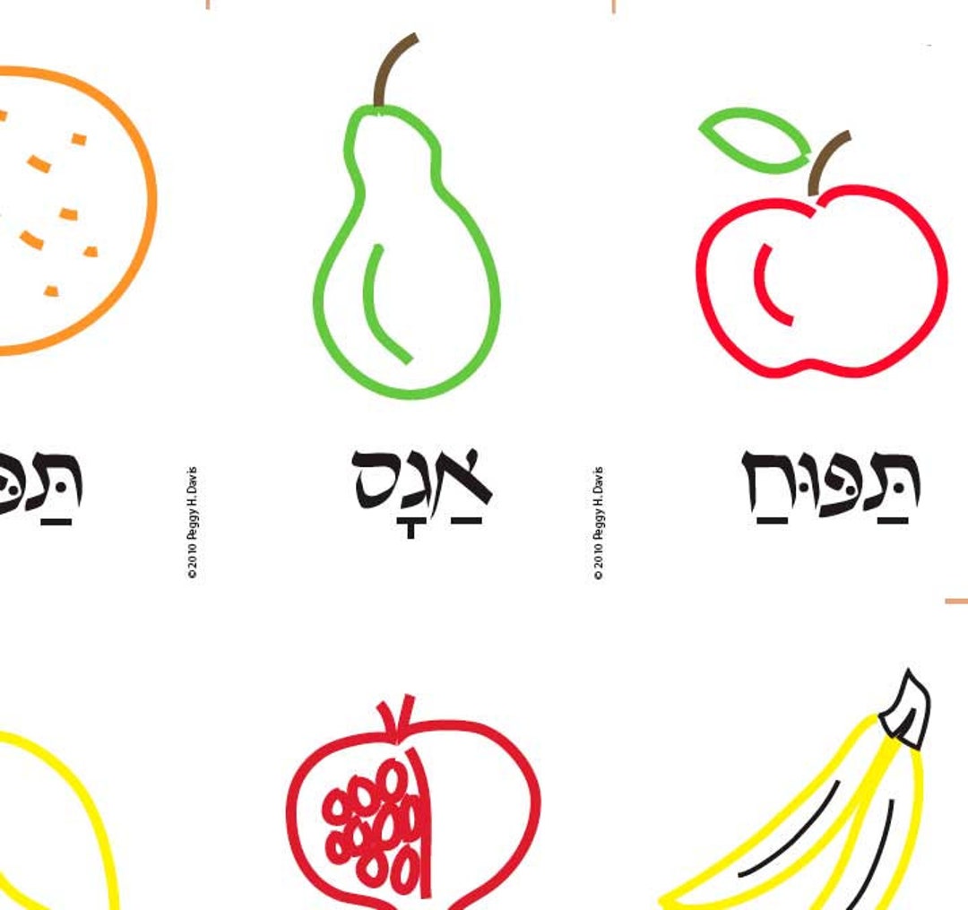 Tarjetas didácticas de frutas hebreas: Tu b'shvat - Etsy México