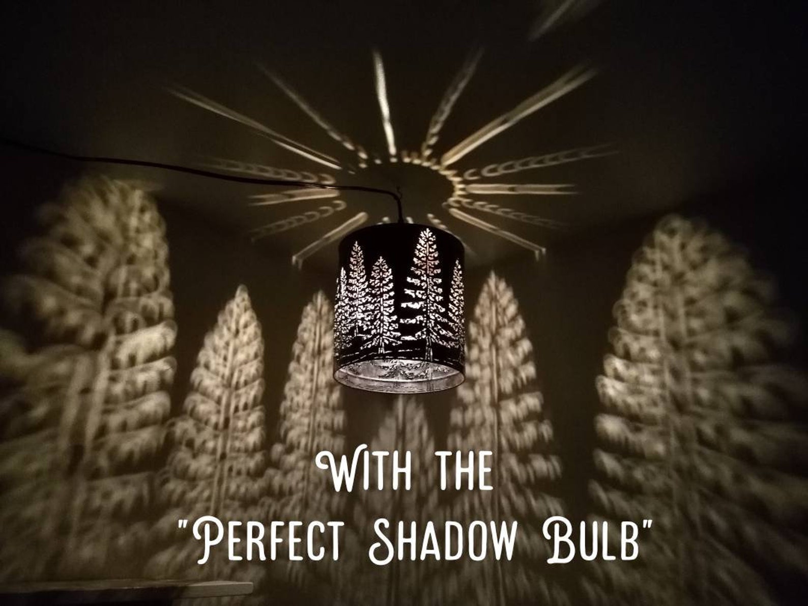 Perfect Shadow Casting Light Bulb LED E26 Base Single Filament | Etsy