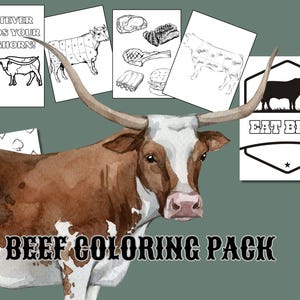Beef Cattle Coloring Pages | Farm Animal Digital Download | Western ...