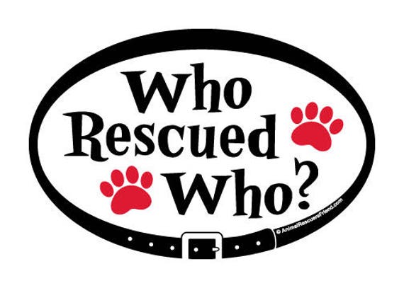 DECAL Who Rescued Who Euro Pet Car 4x6 Oval Vinyl Bumper | Etsy