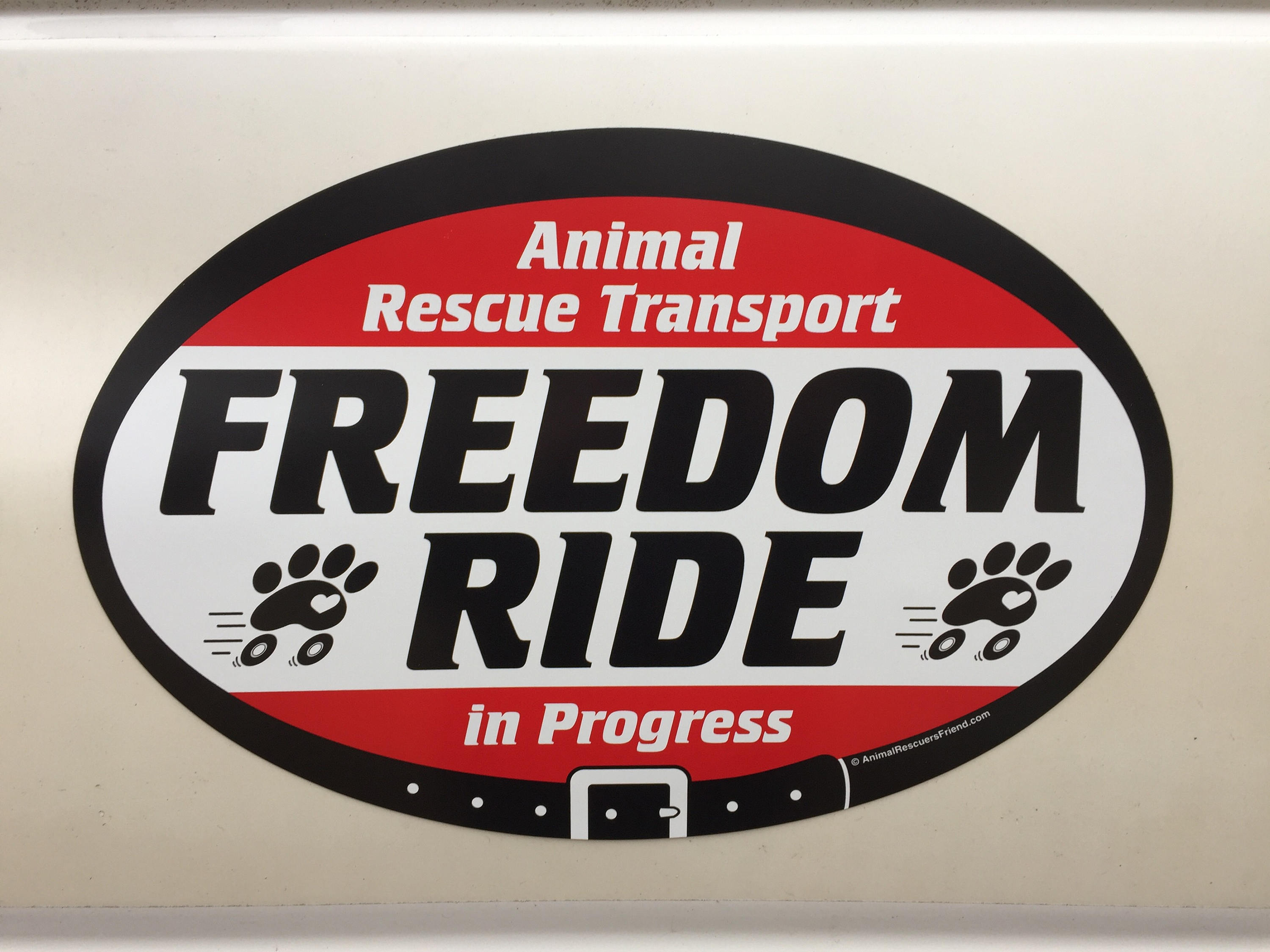 VEHICLE SIGN Freedom Ride in Progress Animal Rescue - Etsy