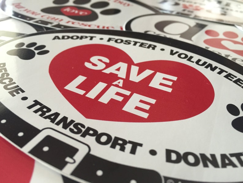 DECAL Save a Life Euro Pet Car Decal 4x6 Oval Bumper | Etsy