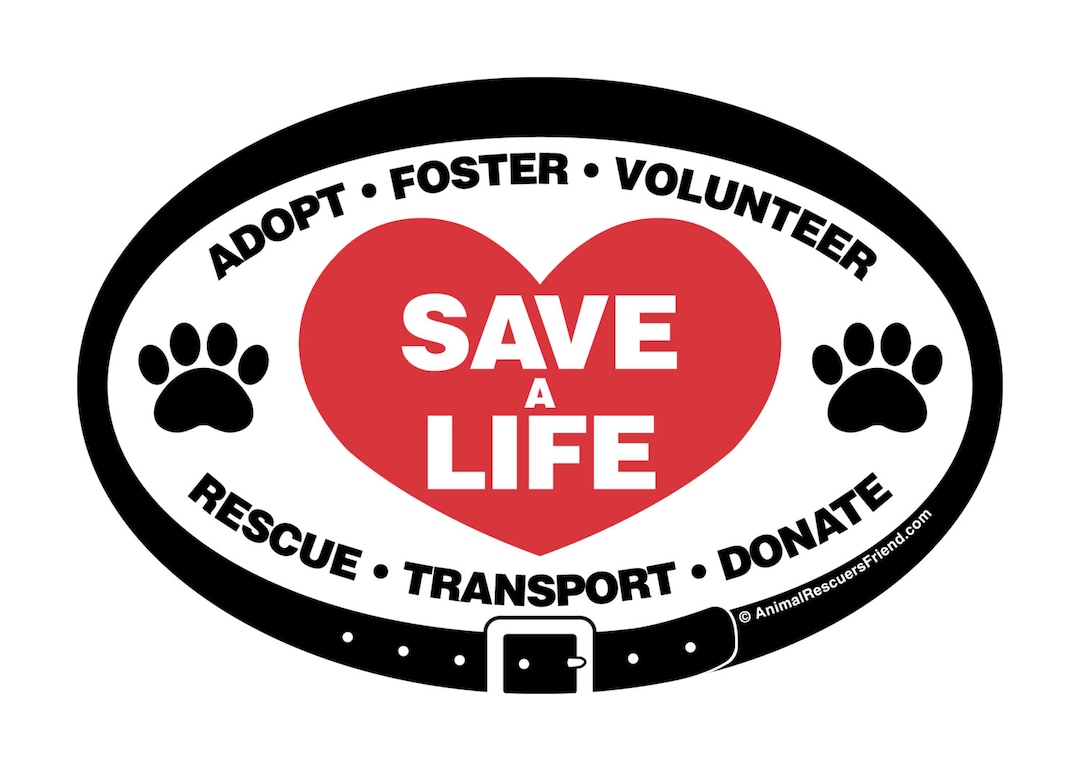 DECAL - Save a Life - Euro Pet Car Decal - 4x6 Oval Bumper Sticker ...