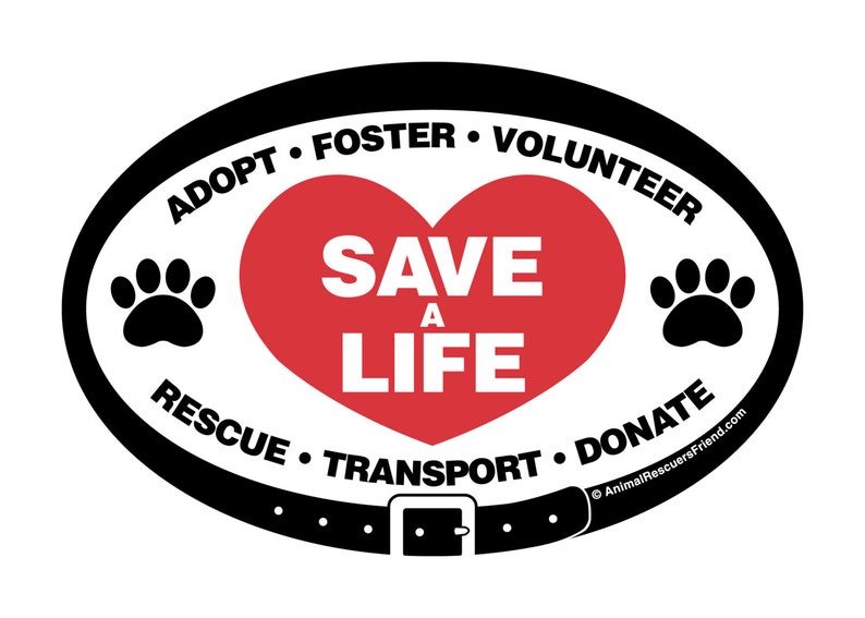 DECAL Save a Life Euro Pet Car Decal 4x6 Oval Bumper | Etsy