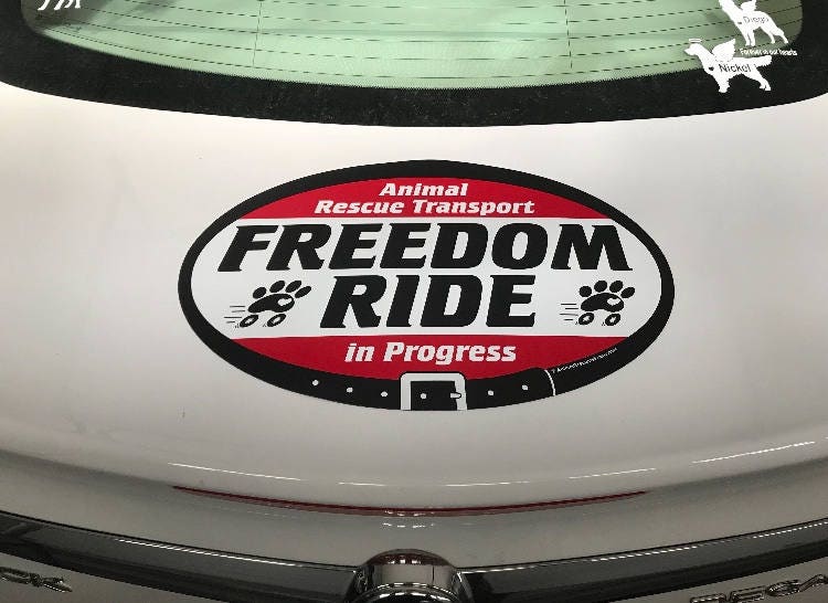 VEHICLE SIGN Freedom Ride in Progress Animal Rescue - Etsy