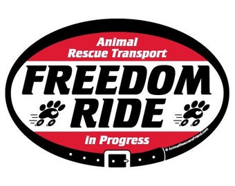 MAGNET Freedom Ride in Progress Euro Pet 4x6 Oval Car | Etsy