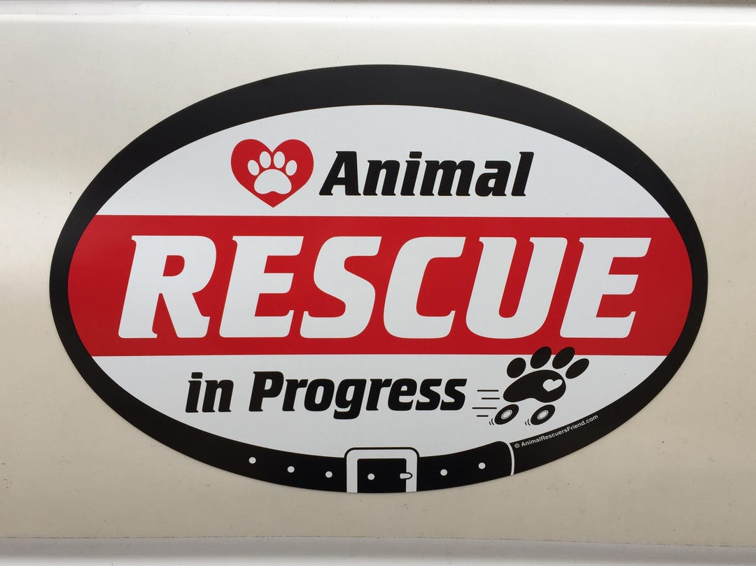 VEHICLE SIGN - Animal Rescue in Progress - 17”x11.5” Oval - Transport ...