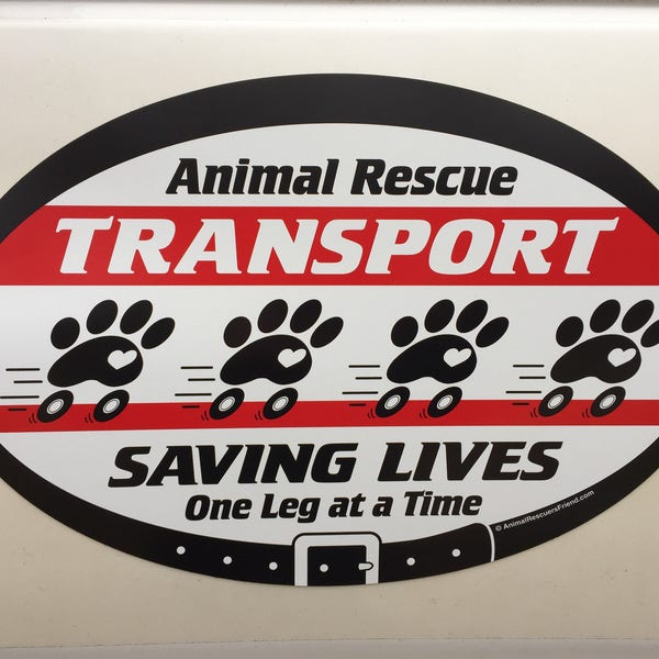 Rescue Dog Sign - Etsy