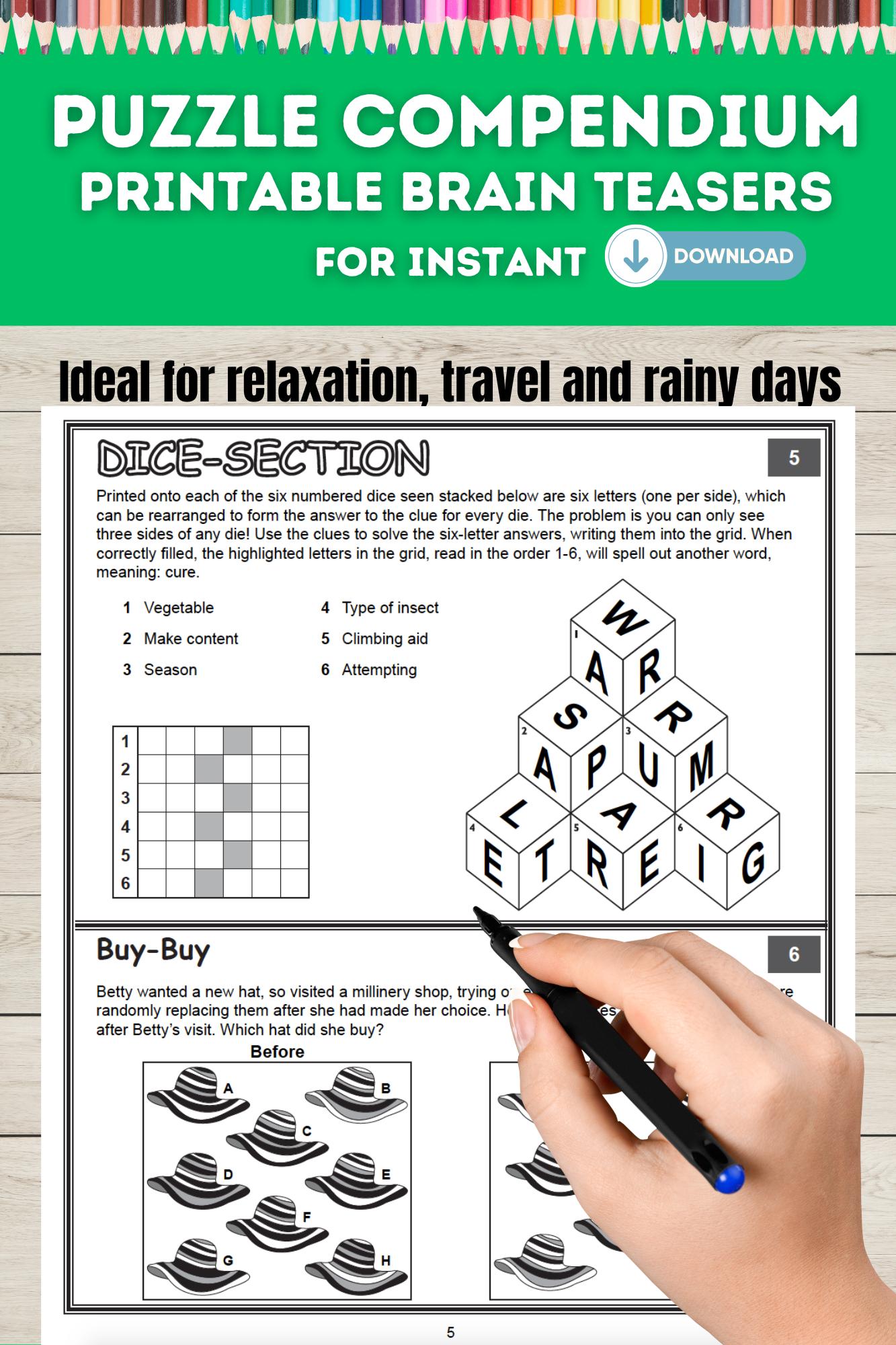 Puzzle Compendium: Brain Teasers, Logic & Word Puzzles (printable PDF ...
