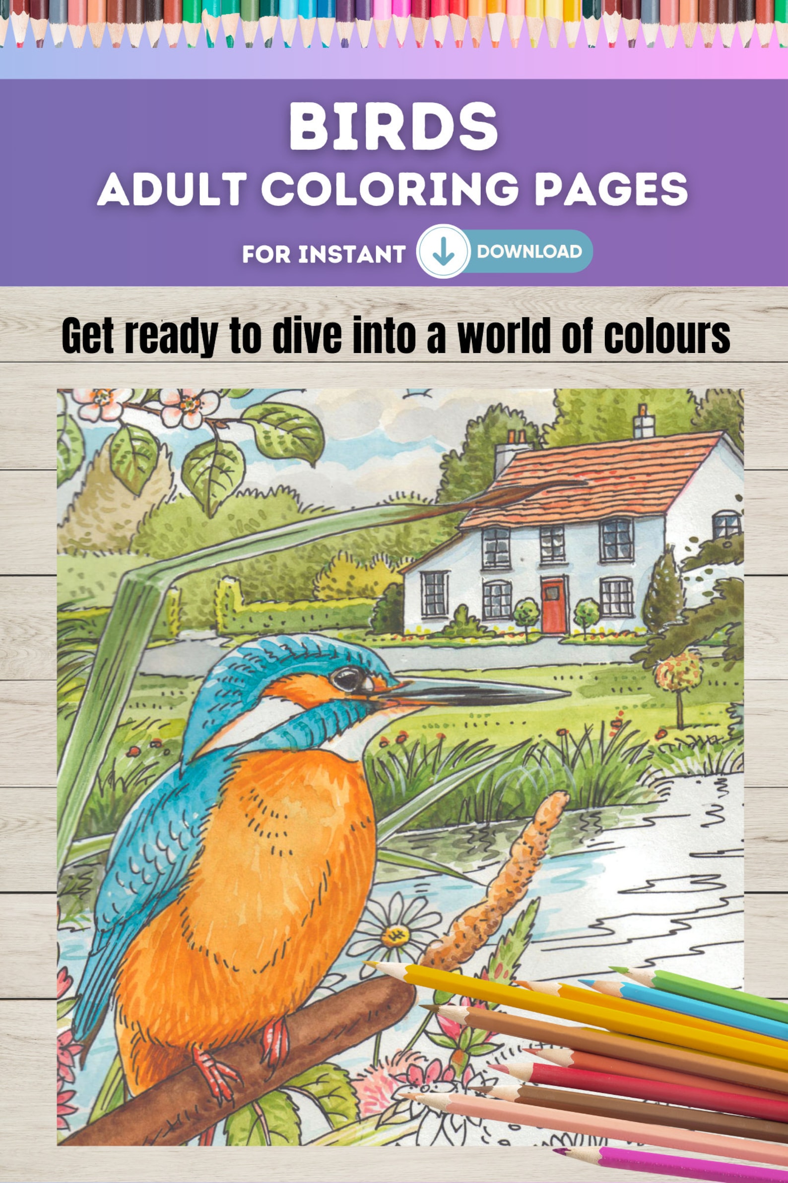Adult Coloring Book Birds Mega Bundle, Nature Coloring Book for Adults ...
