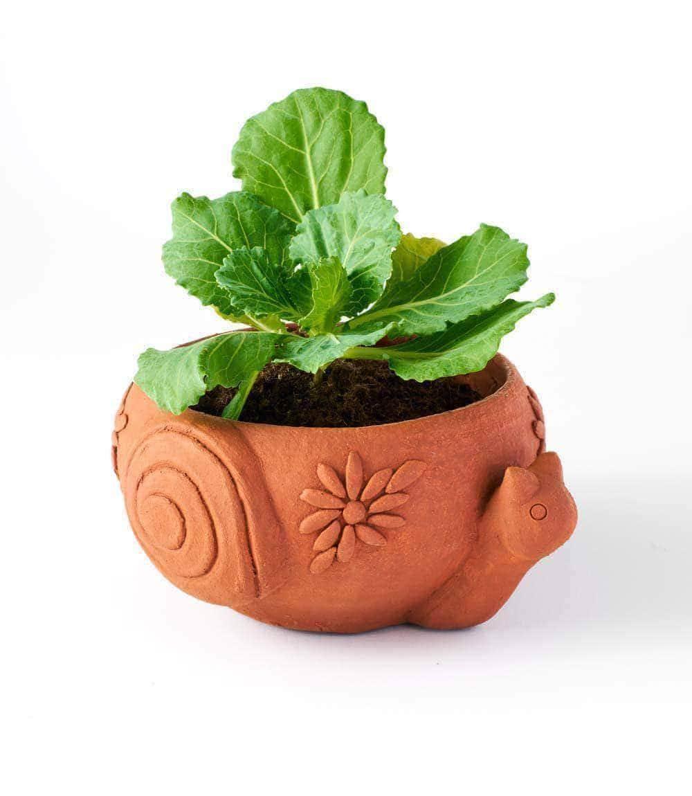 Snail Planter With Drainage Hole, Cute Animal Pot for Indoor Plant ...