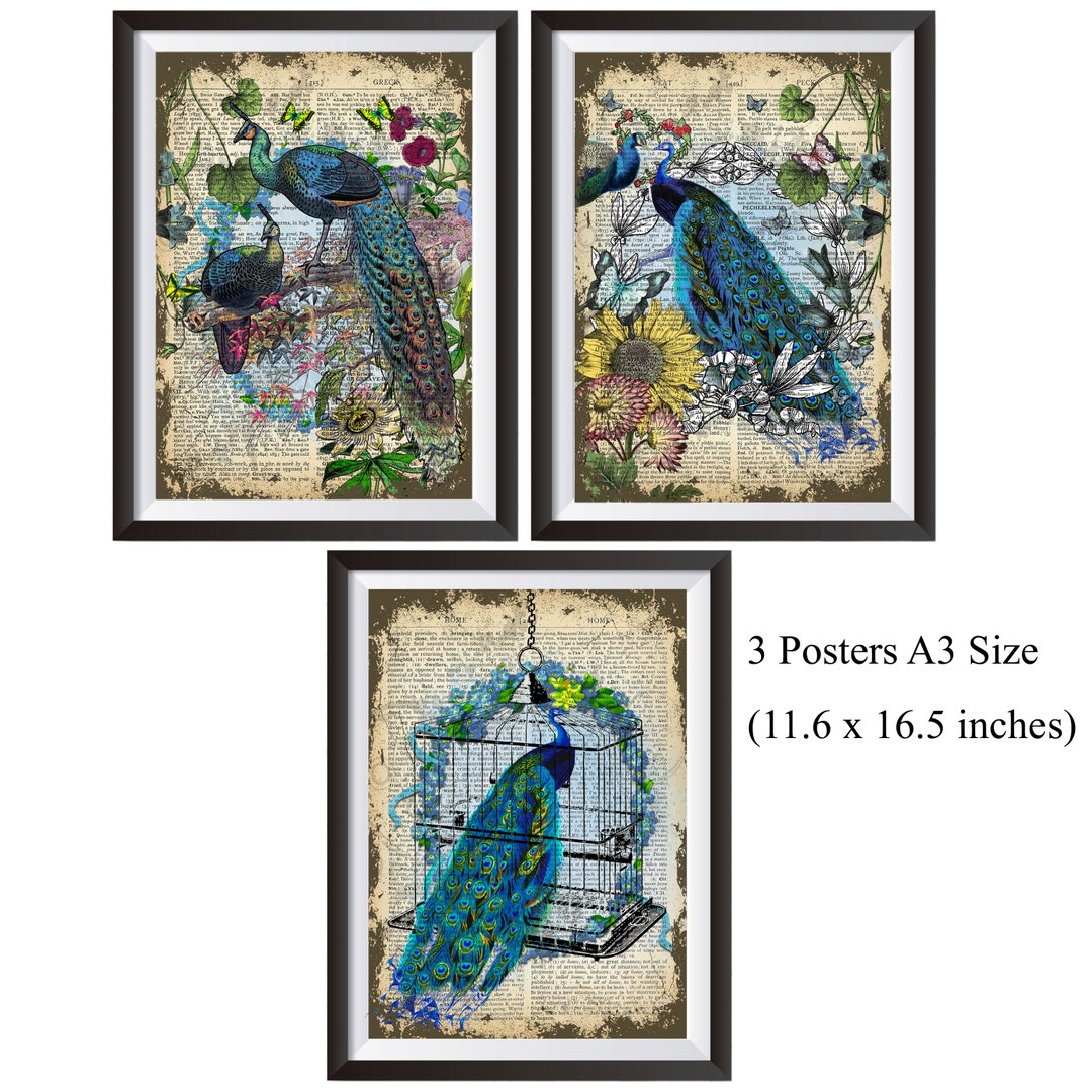 Set of 3 Peacocks Wall Art Posters, Peacocks in Love Art Print ...