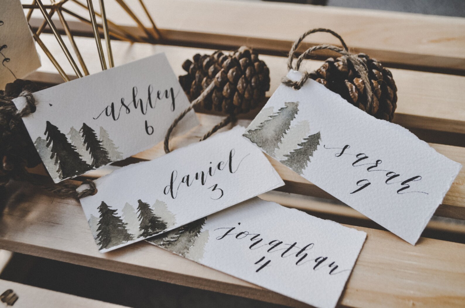 Calligraphy & Watercolor Pine Tree Name Place Cards With Pinecones and ...