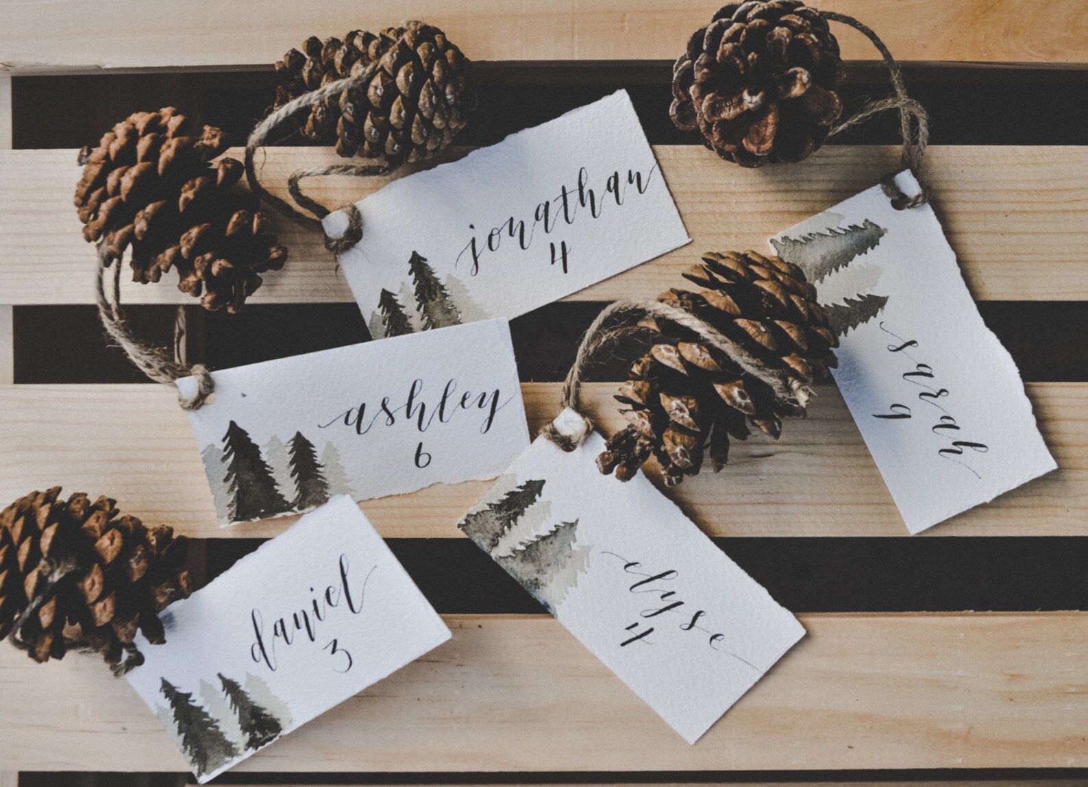 Calligraphy & Watercolor Pine Tree Name Place Cards With Pinecones and ...