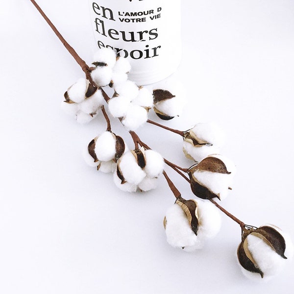Cotton Branch - Etsy