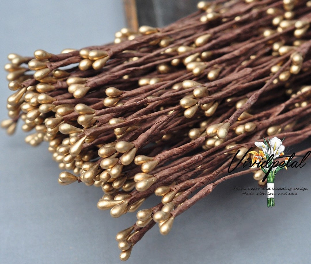 50 Pcs Pip Berry Stemsgold Golden Pip Berry Wreathpip Berry - Etsy