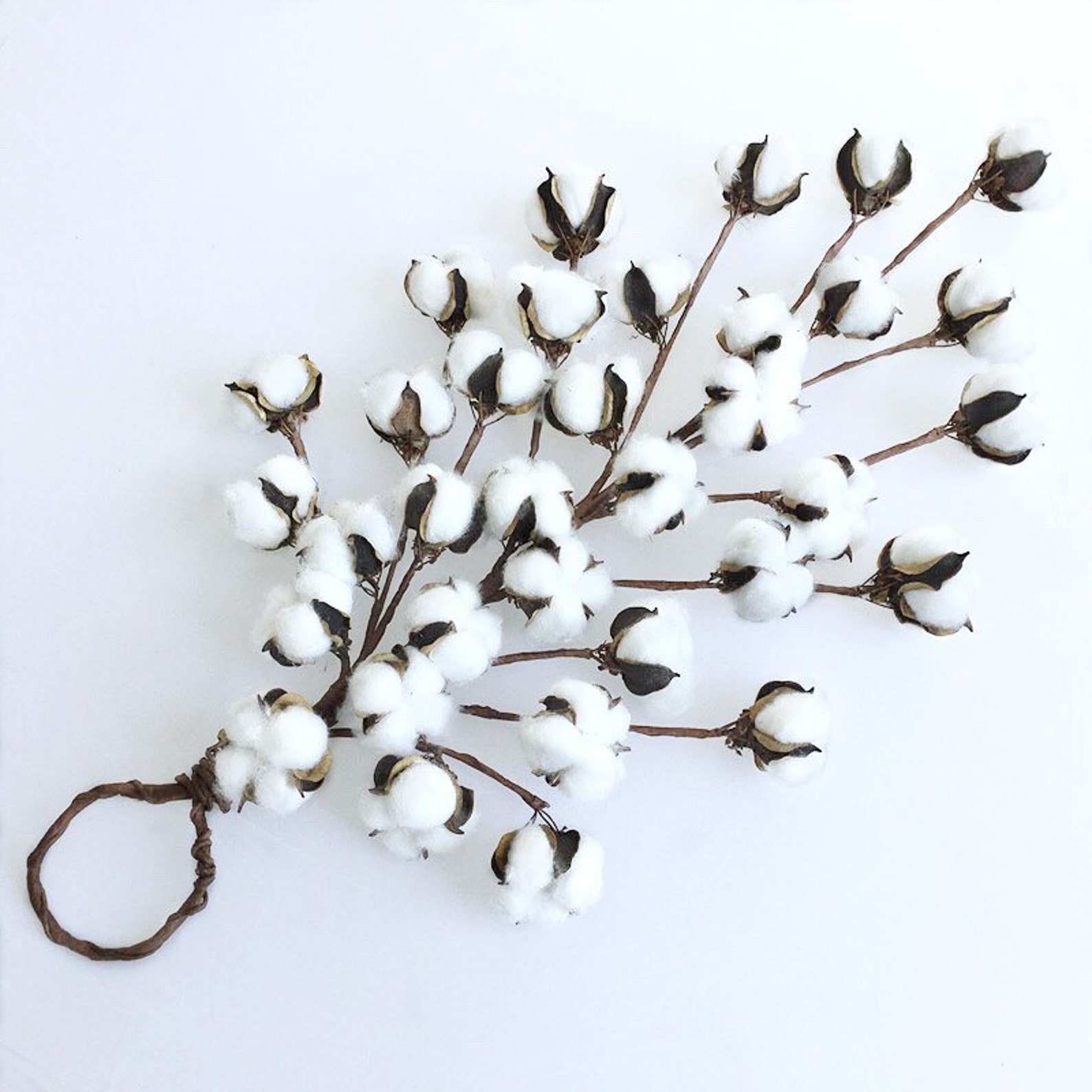 Dried Cotton Branch 20long 34cotton Balls Vine Cotton - Etsy