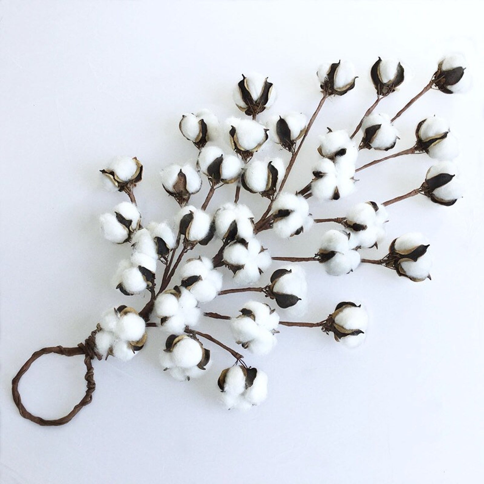 Dried Cotton Branch 20long 34cotton Balls Vine Cotton - Etsy