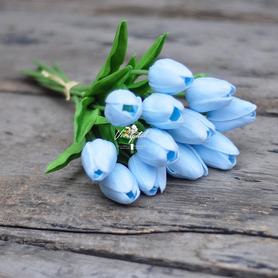 Real Blue Tulips