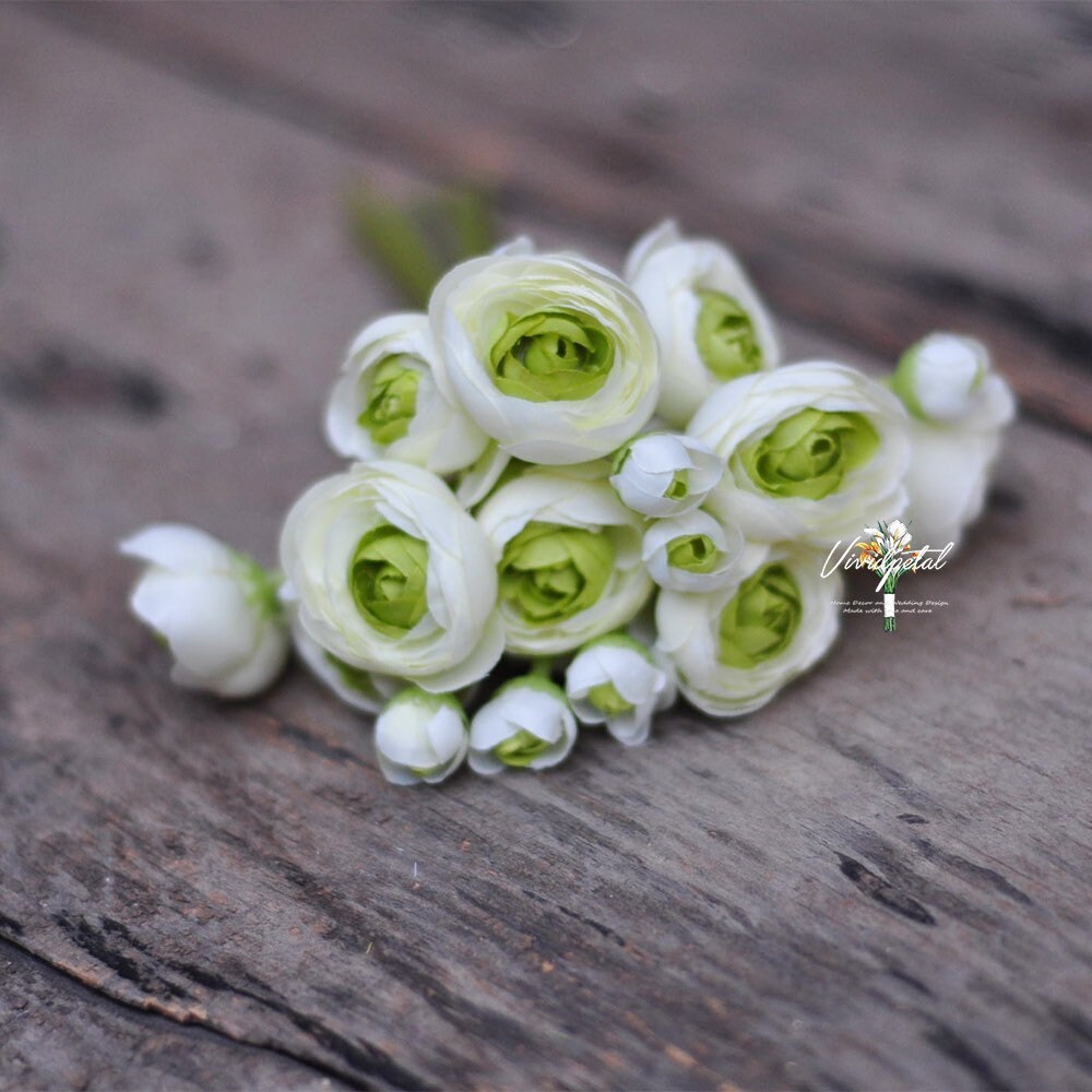 White Green Picasso Ranunculus/ Silk Mini - Etsy