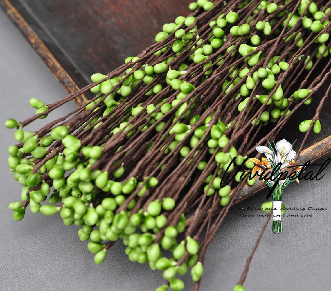50pcs Spring green Pip Berries Branch Vines StemsDIY | Etsy
