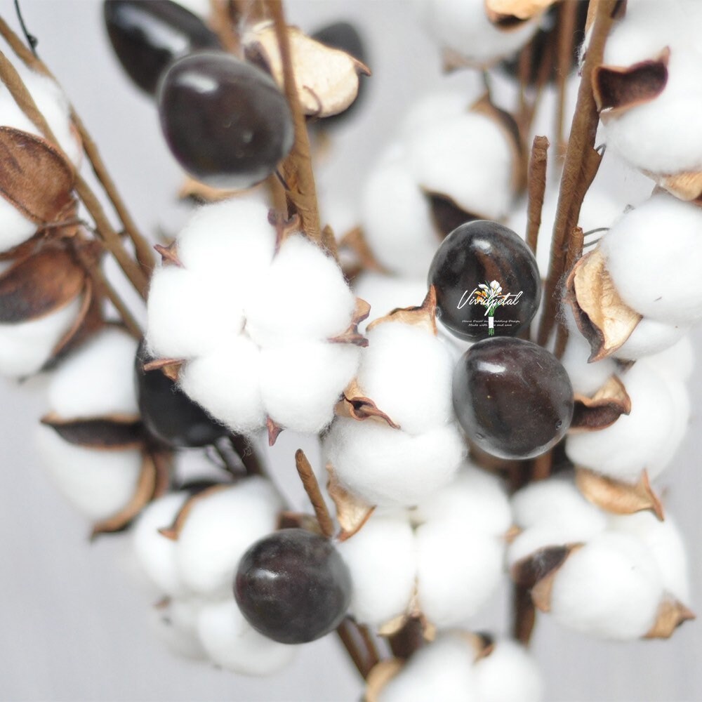 Dried Cotton Branch 17 Long 8 Cotton Balls Branches | Etsy