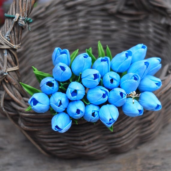 Real Blue Tulips