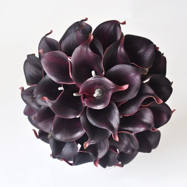 Plum Calla Lilies - Etsy
