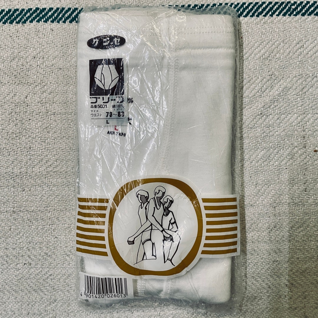 Vintage GUNZE Japanese Mens Briefs Underwear White L fits US - Etsy