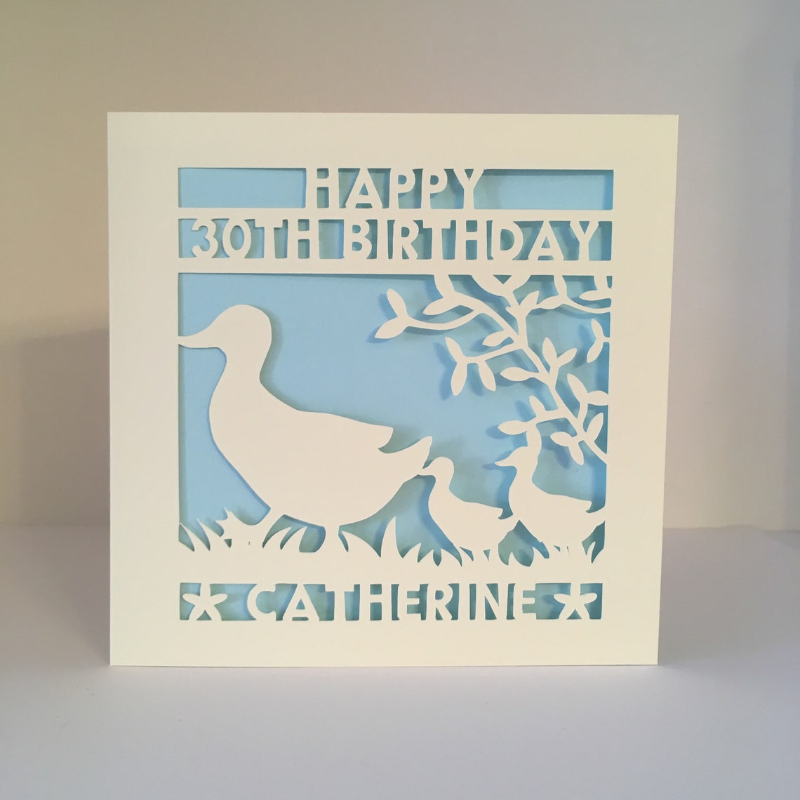 Personalised Duck Birthday Card 30th 40th 50th 60th 70th 75th | Etsy UK