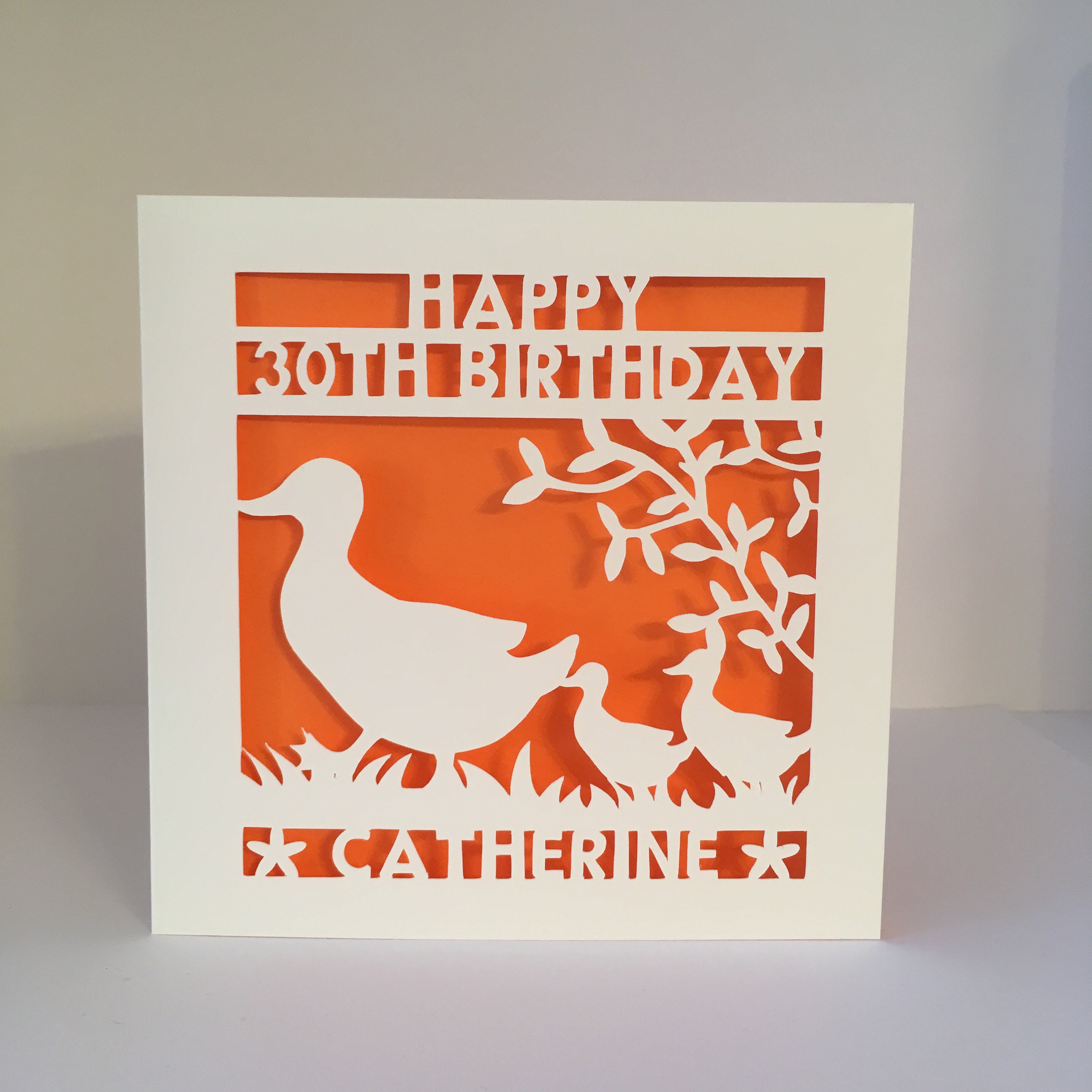 Personalised Duck Birthday Card 30th 40th 50th 60th 70th 75th | Etsy UK