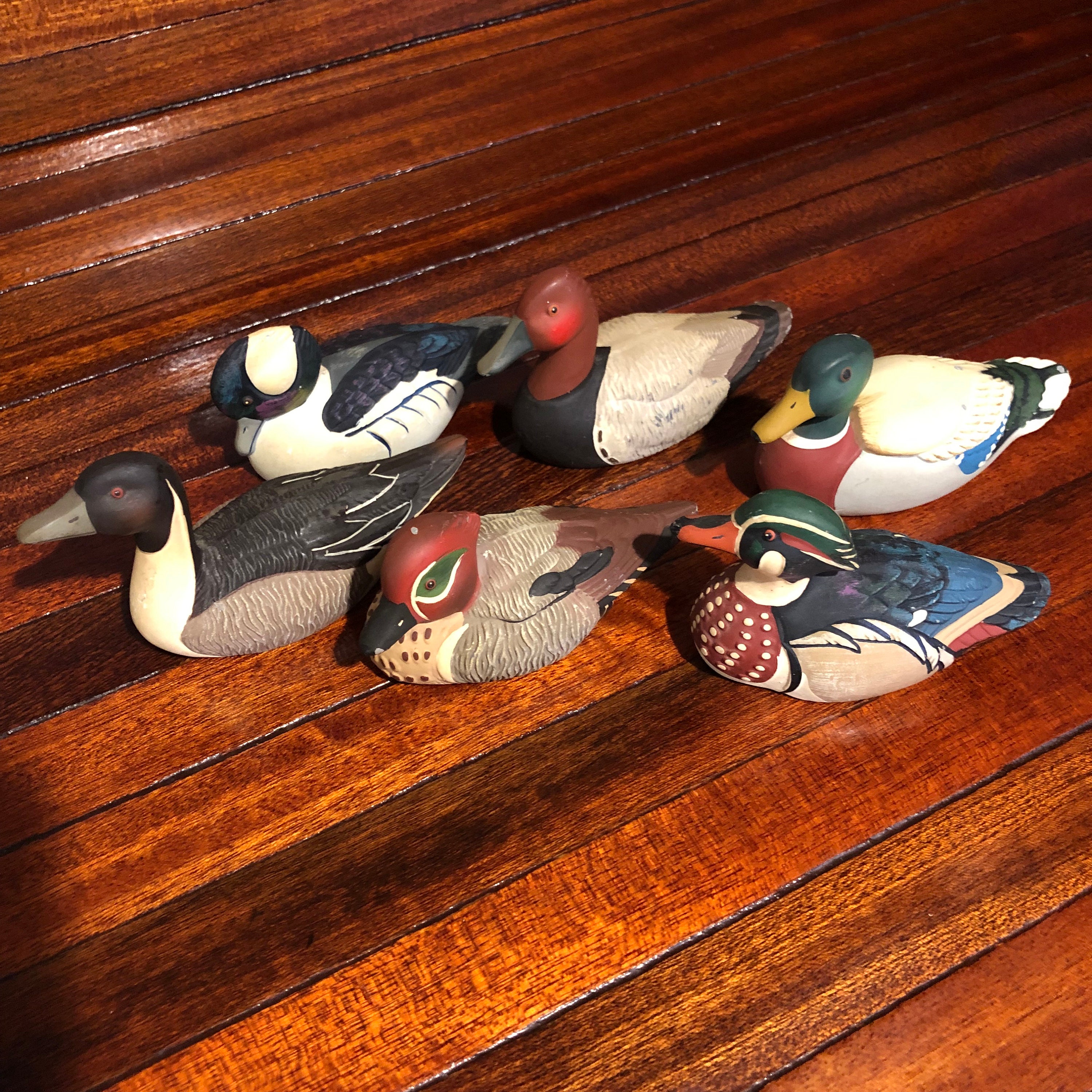 Avon Duck Collection