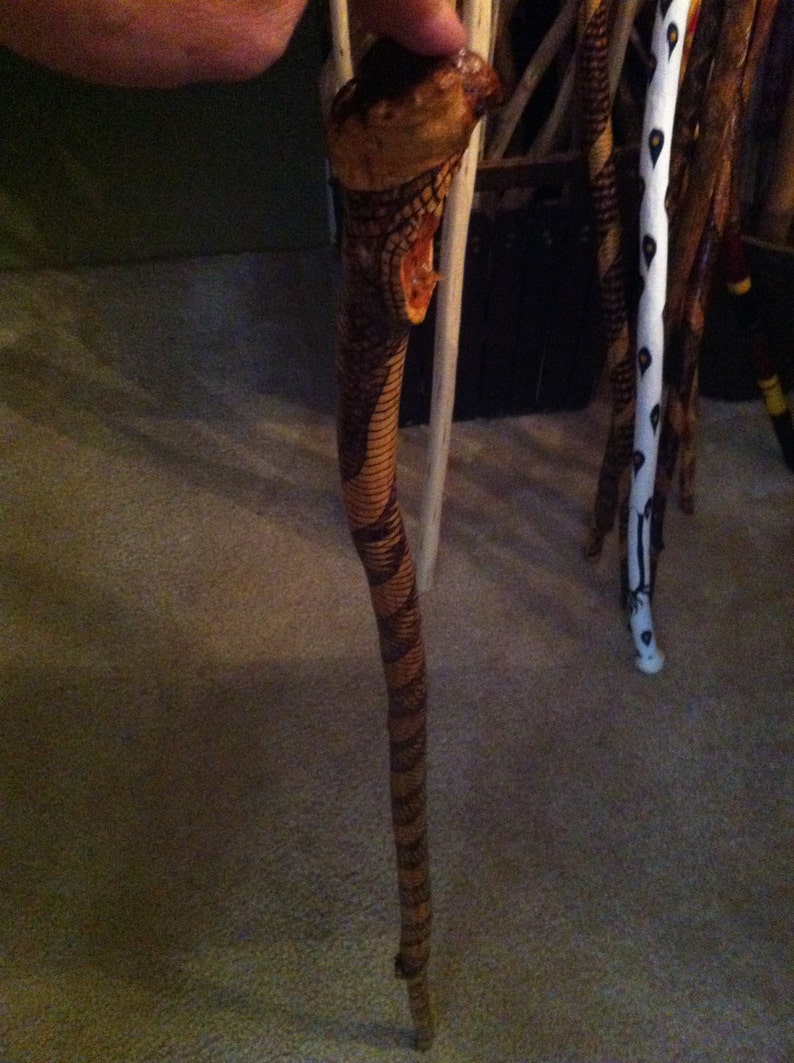 Walking Stick Snake Cane/hand-carved/wood-burned/free Shipping! - Etsy