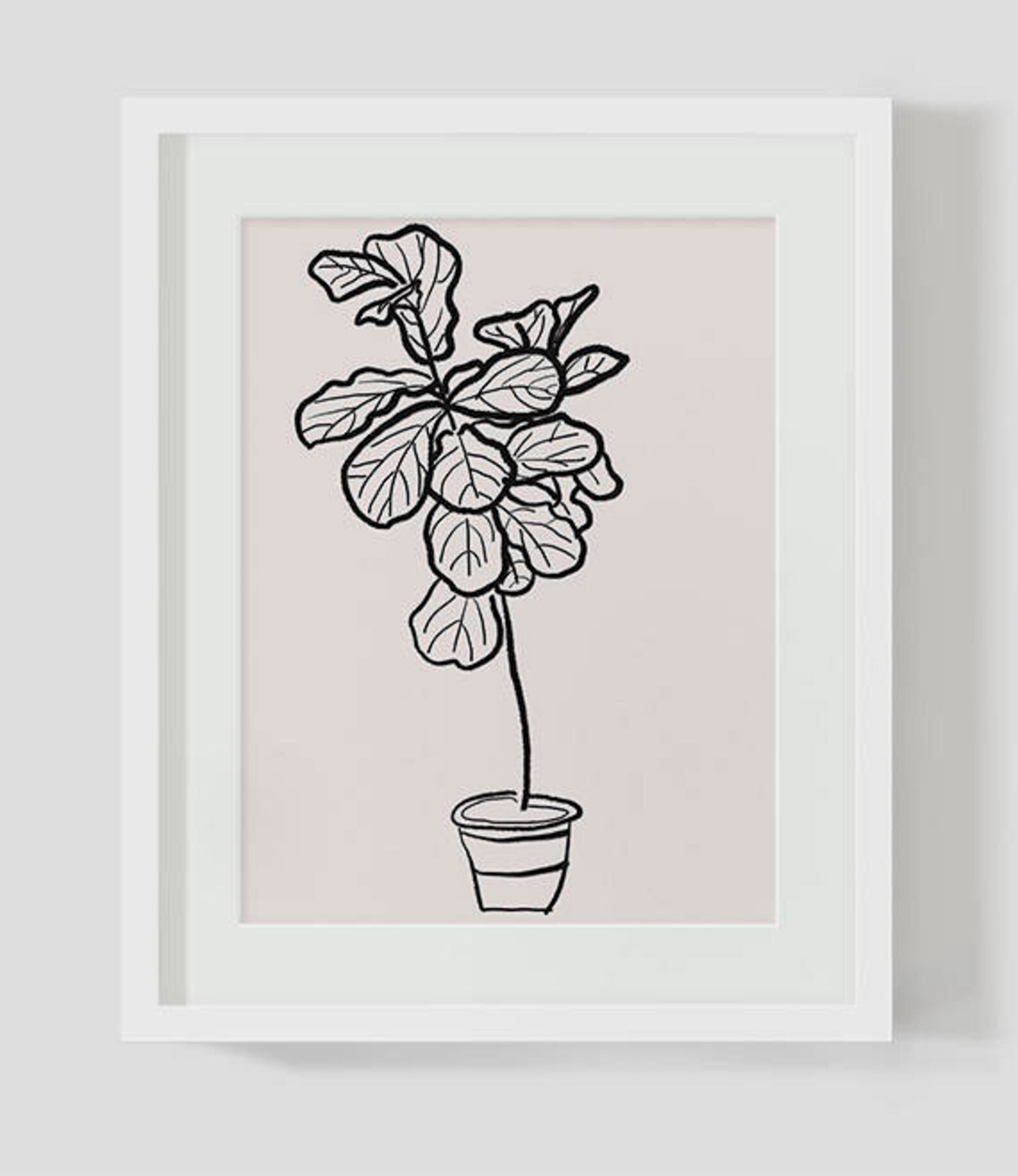 Fiddle Fig Tree Illustration, Fiddle Fig, Drawing, Illustration ...